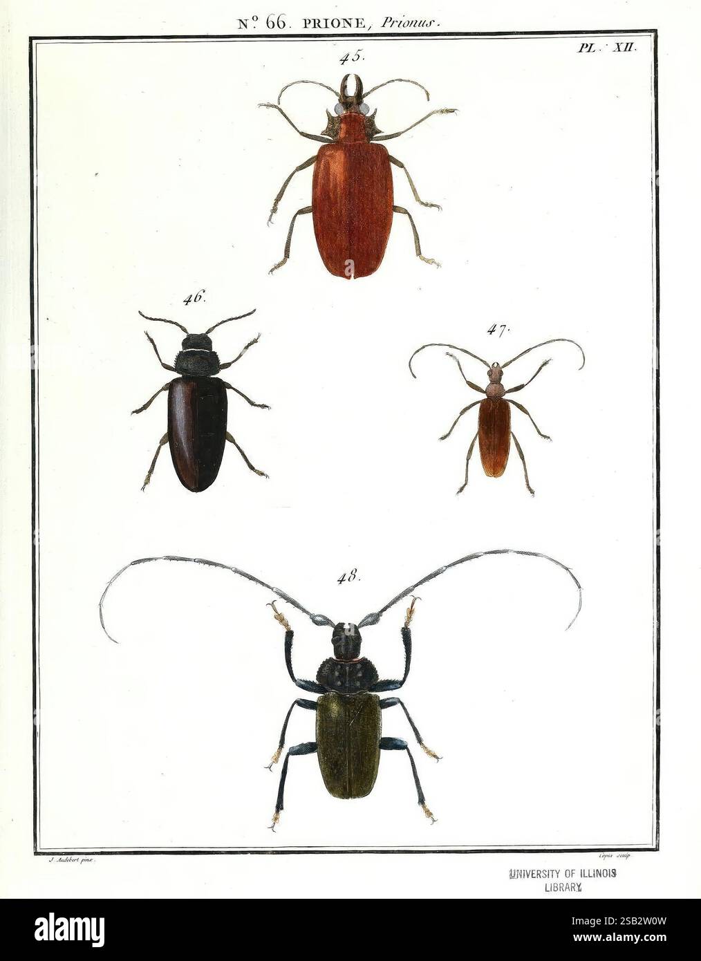 Entomologie ou Histoire naturelle des insectes, Paris, Imp. Baudouin ...