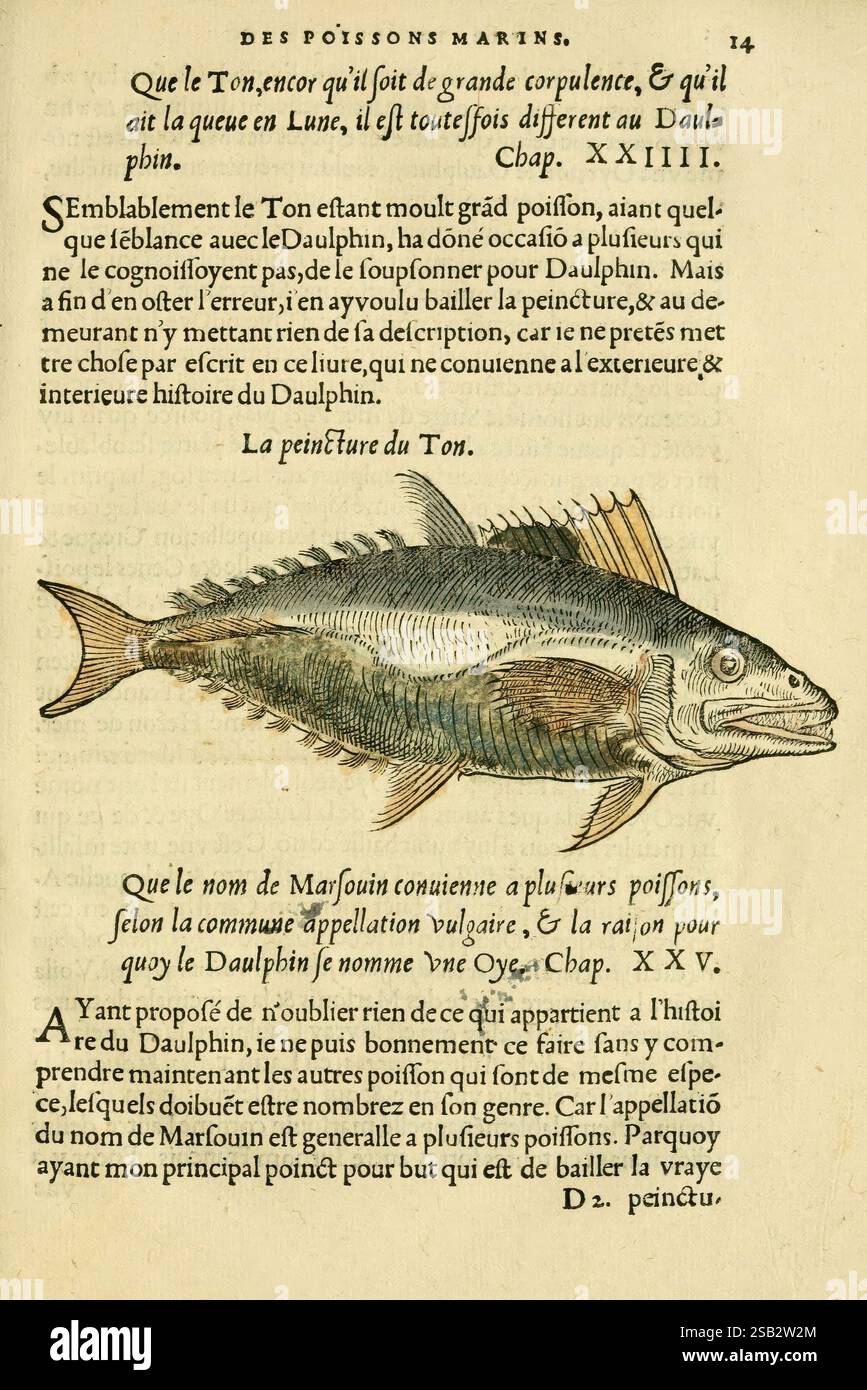 Common name usage hi-res stock photography and images - Alamy