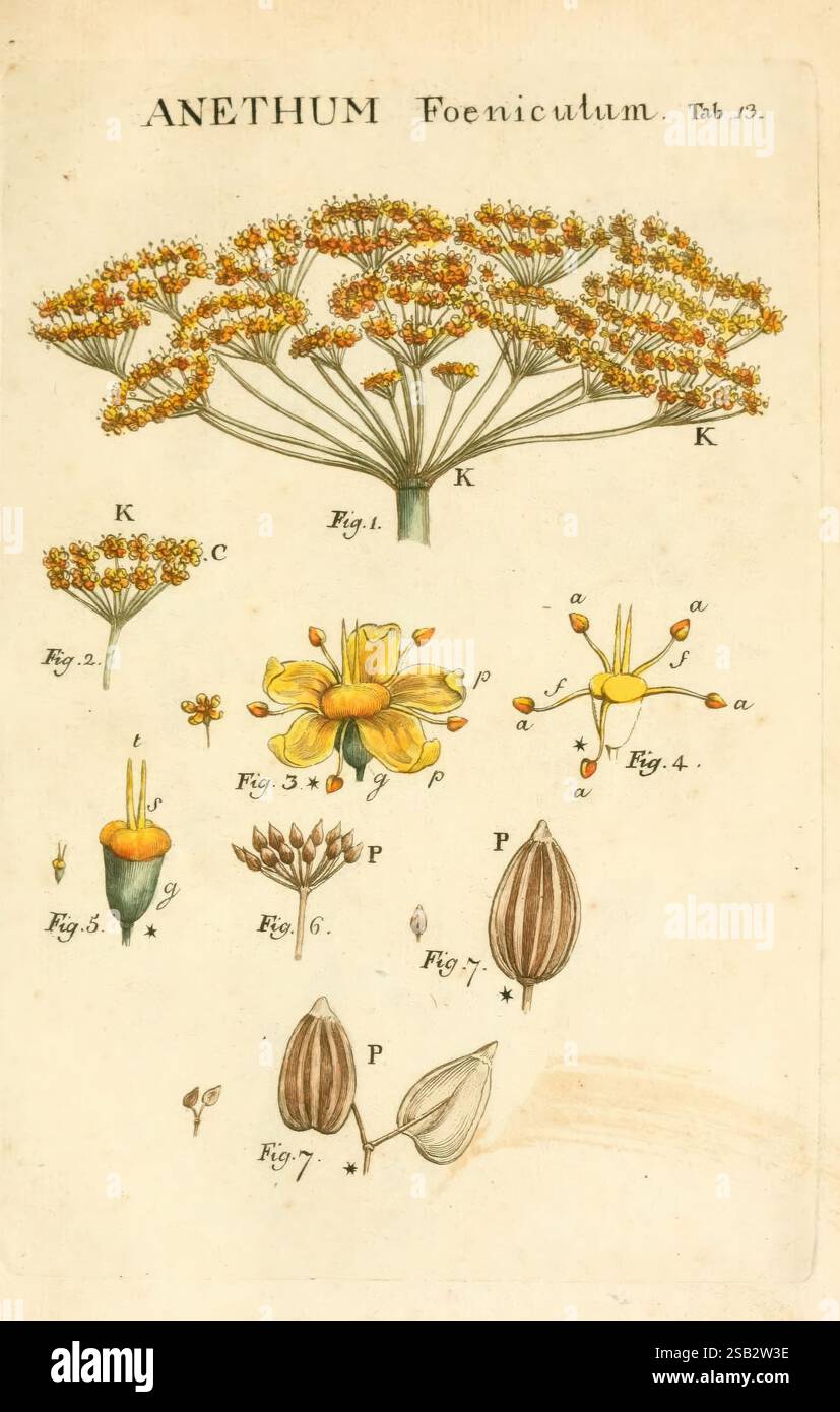 Illustratio systematis sexualis Linnaeani Francofurti ad Moenum ...