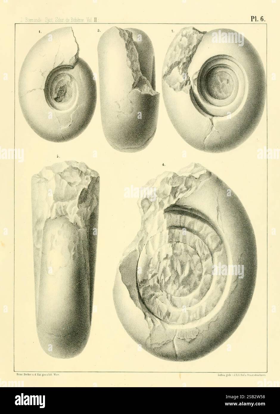 Exhibit partial breaks hi-res stock photography and images - Alamy