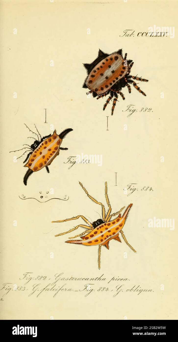 333 presents hi-res stock photography and images - Alamy