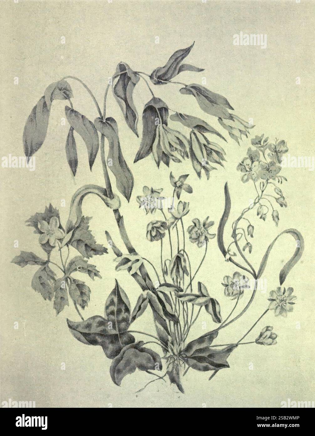 Cohesive aesthetic hi-res stock photography and images - Alamy