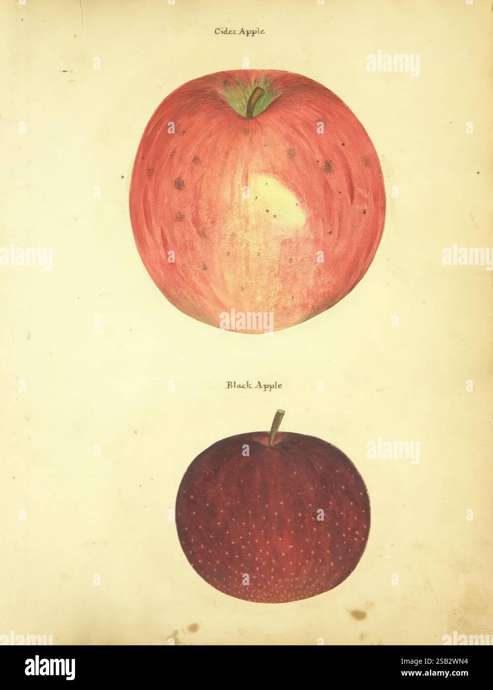 Names elegantly labeled hi-res stock photography and images - Alamy