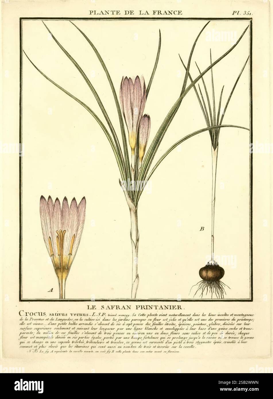 Root structure beneath hi-res stock photography and images - Alamy