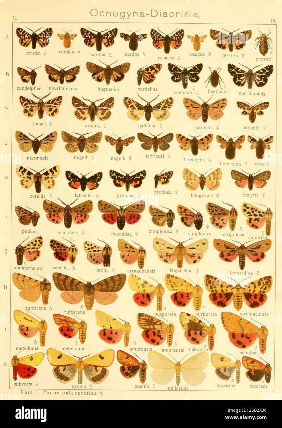 Informative labels include hi-res stock photography and images - Alamy