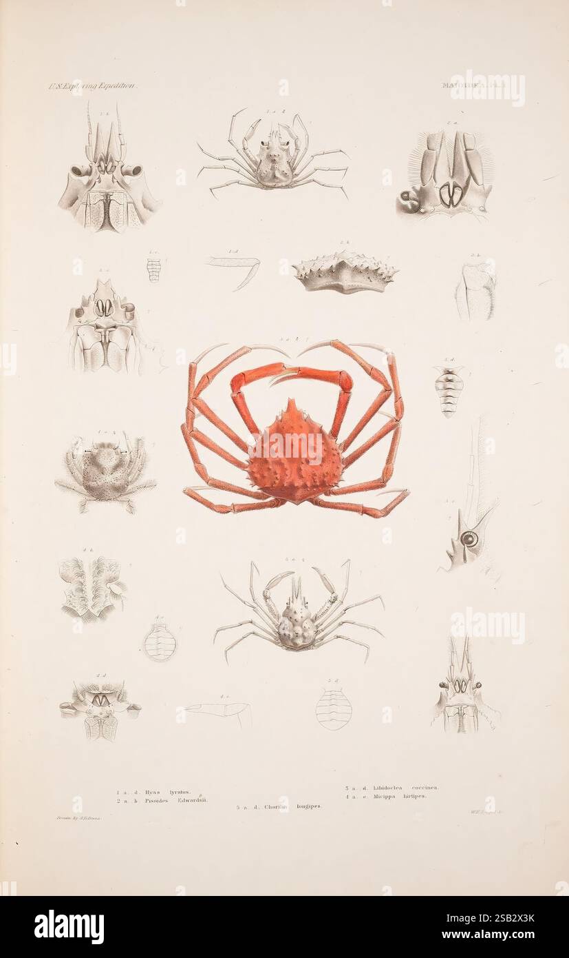 Lateral orientations hi-res stock photography and images - Alamy