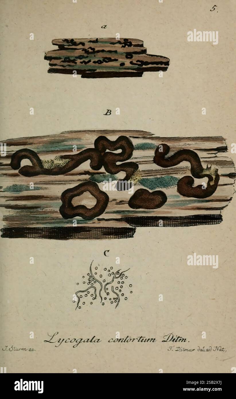 Illustration showcases three distinct sections hi-res stock photography ...