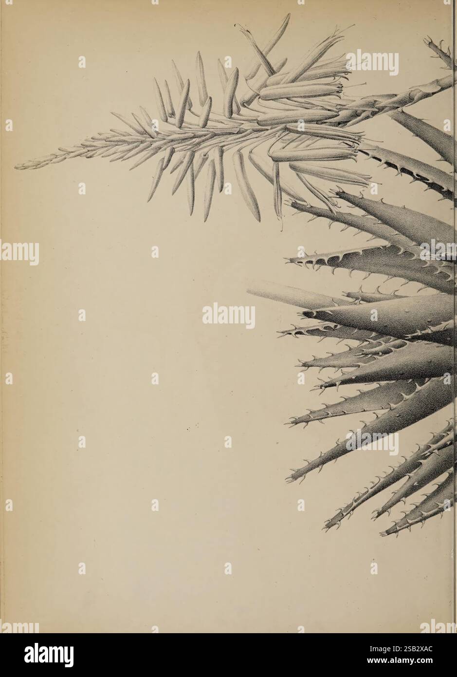 Unique structural qualities hi-res stock photography and images - Alamy