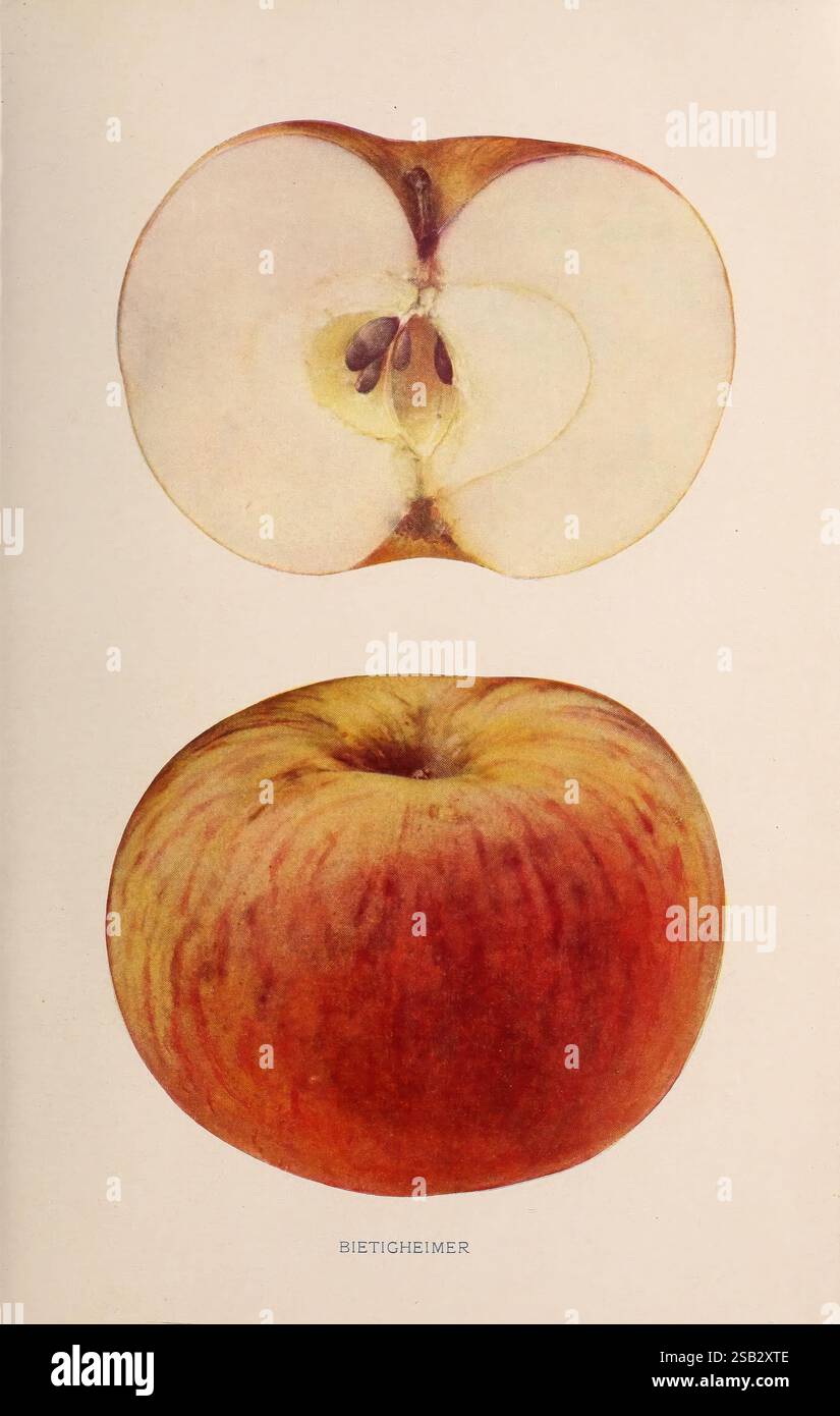 Fruits subtle coloration hi-res stock photography and images - Alamy