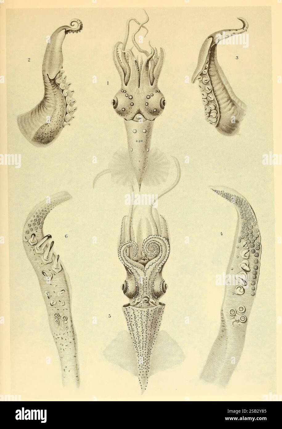 Prominent figure displays hi-res stock photography and images - Alamy