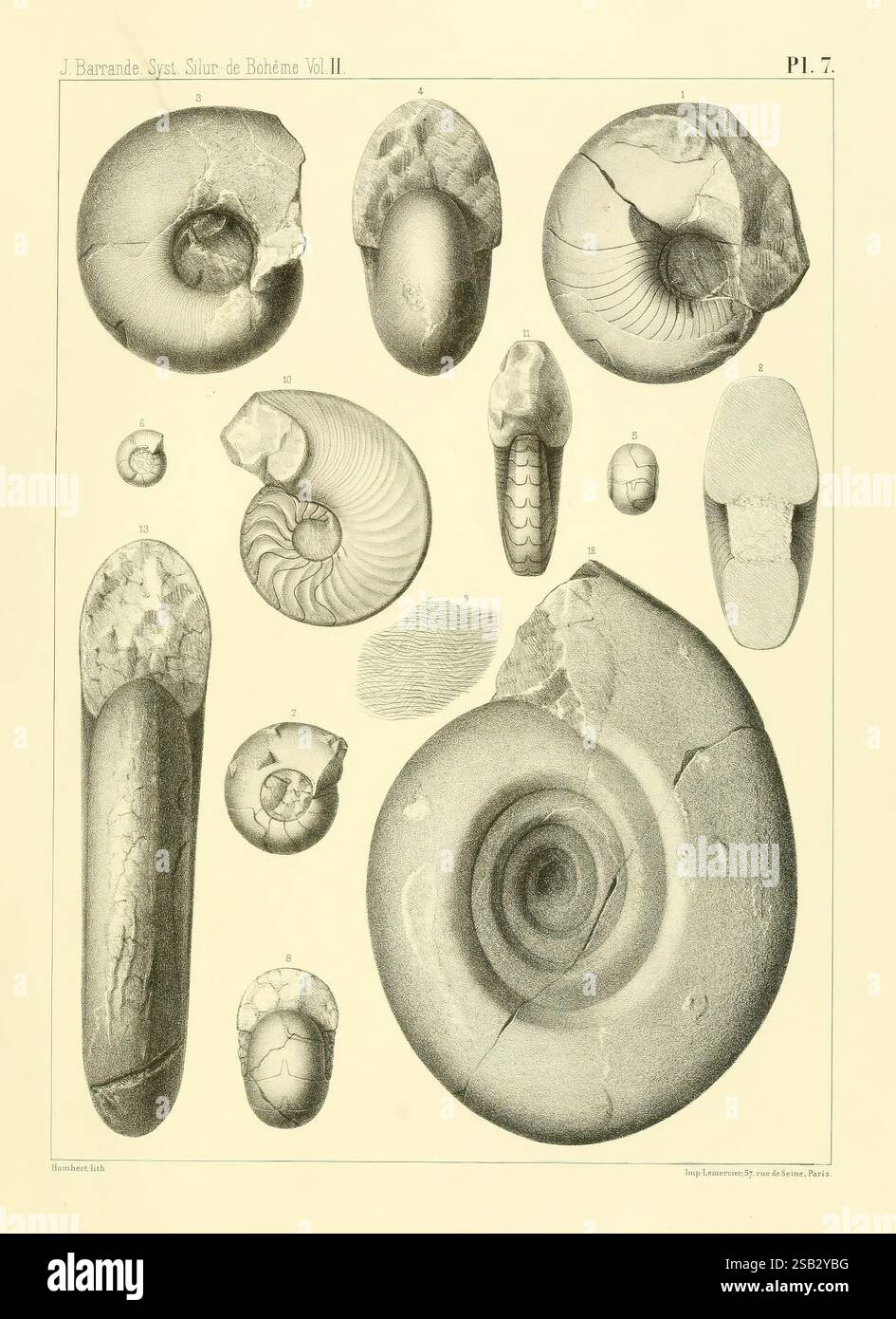 Systême silurien du centre de la Bohême, Prague, Chez l'auteur, 1852 ...