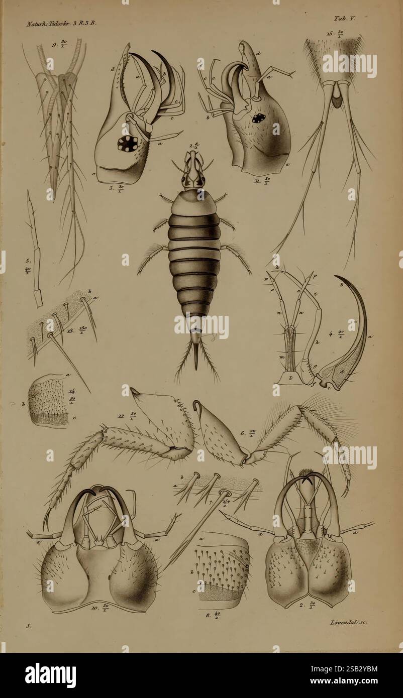 De metamorphosi eleutheratorum observationes, Kjøbenhavn, Thieles ...