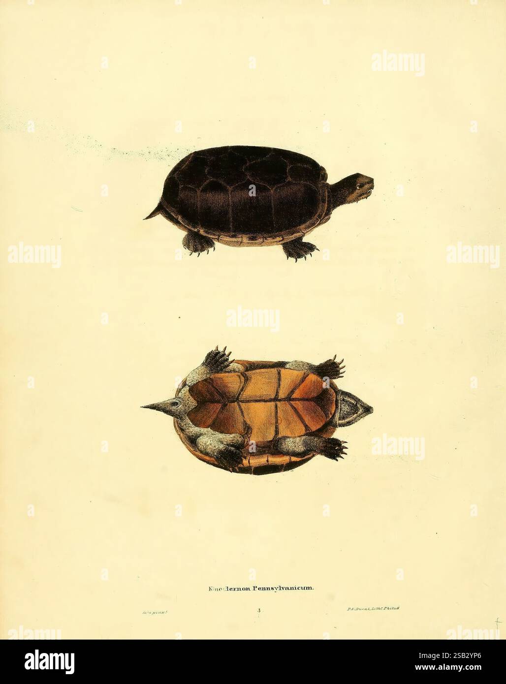 Unitedstates eastern hi-res stock photography and images - Alamy