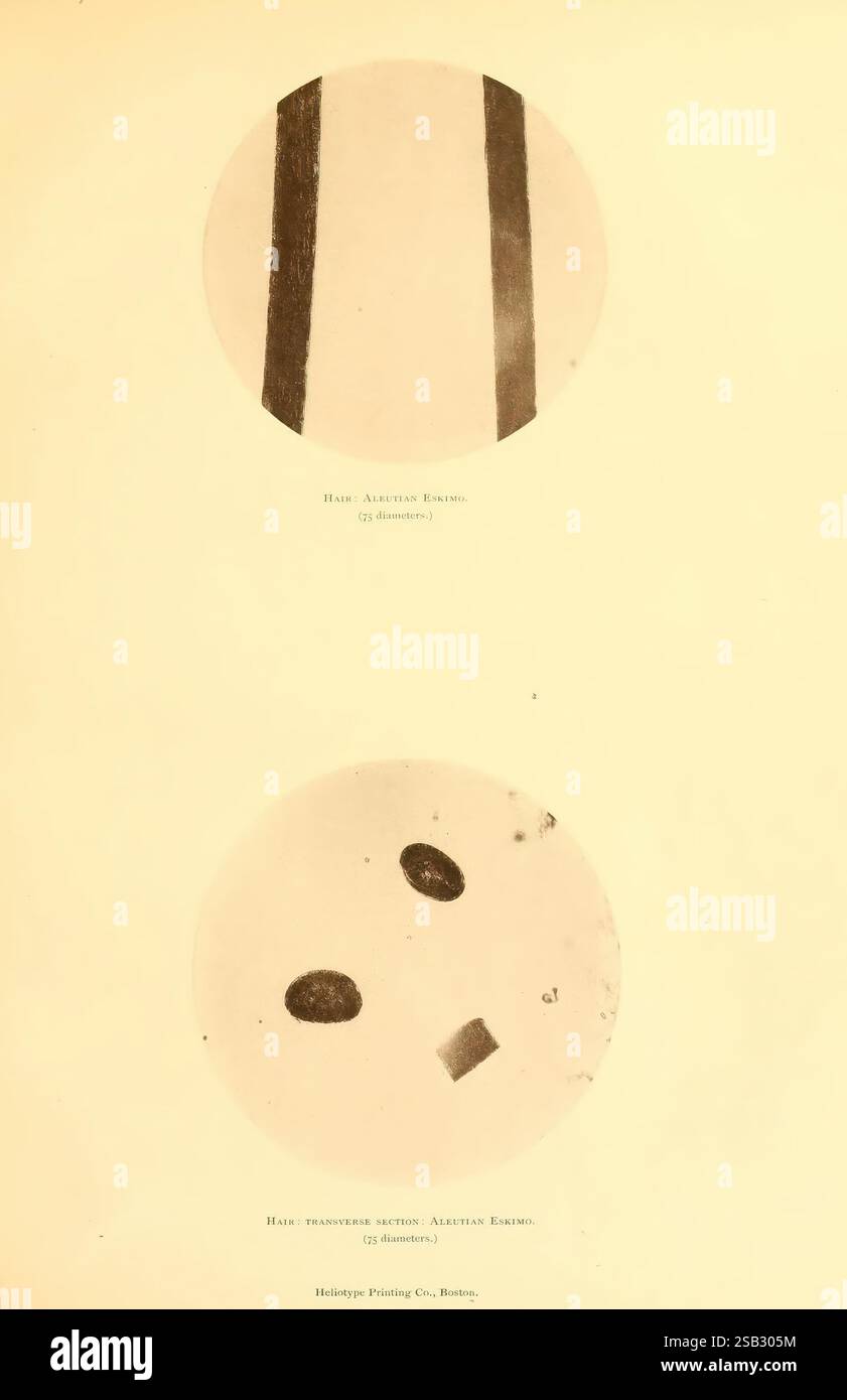 Visual depicts two circular diagrams hi-res stock photography and ...