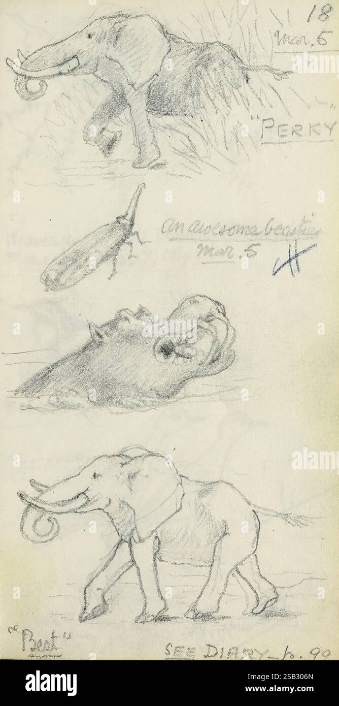 This collection features a series of sketches showcasing different ...