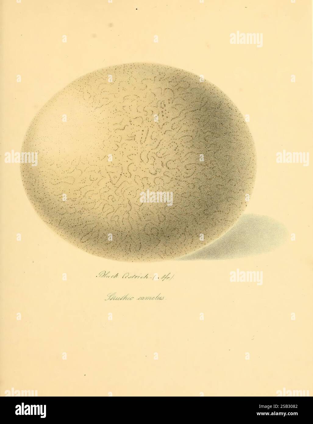 Positioned slightly off center hi-res stock photography and images - Alamy