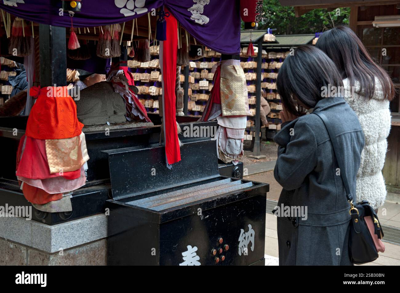Hatsumode is the first shrine visit of "shogatsu" (New Year) to pray ...
