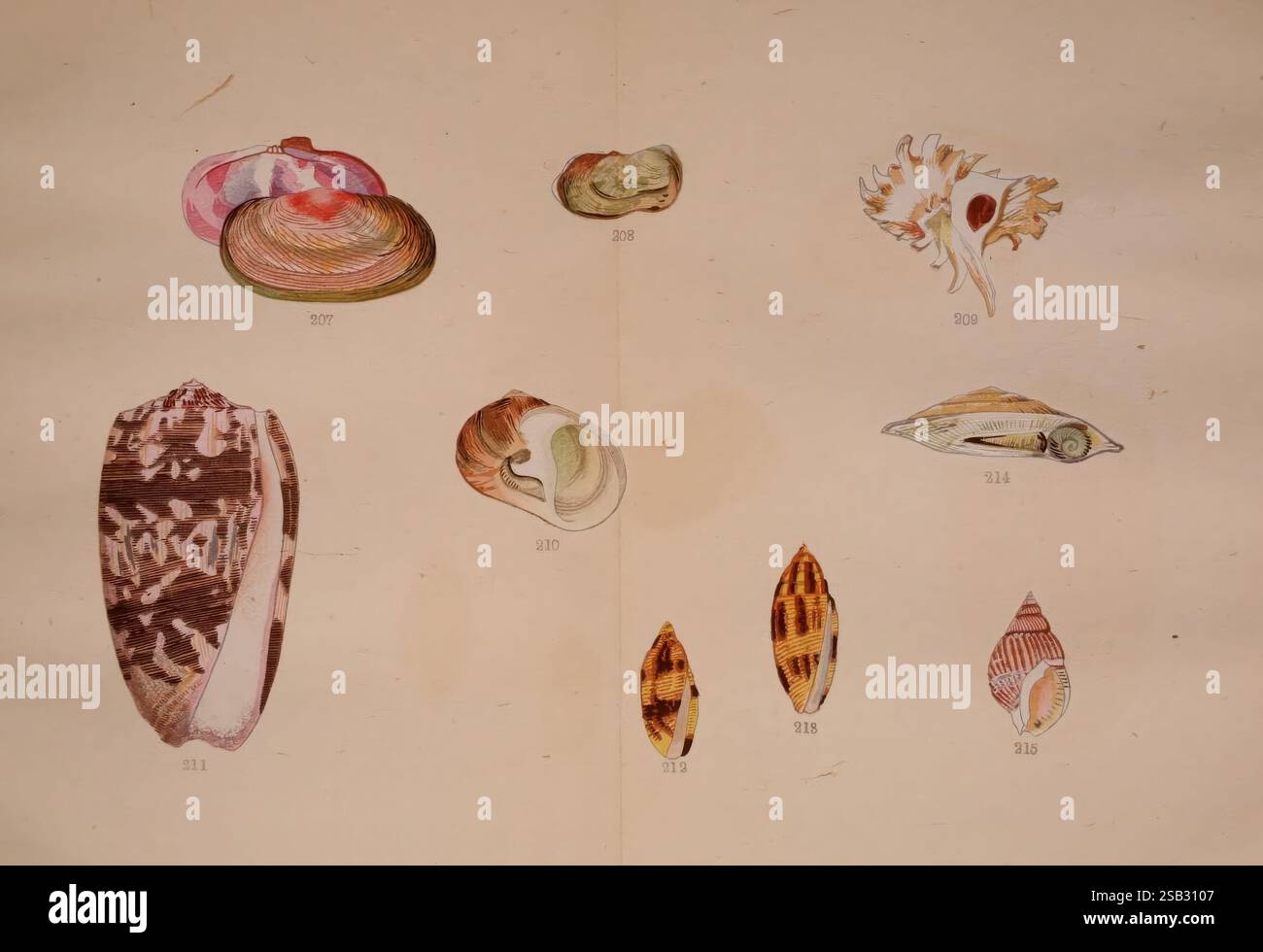 Kaisenshu Kyoto Yamada Naozoburo 1914-1915 catalogs collections Japan ...