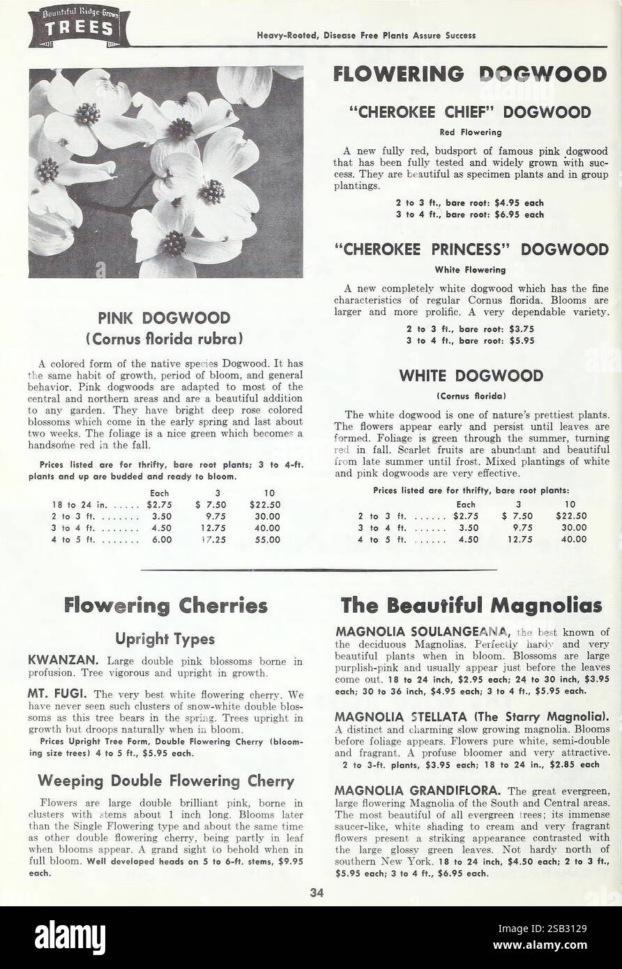 Planting guide, Princess Anne, Md, Bountiful Ridge Nurseries, 1964 ...