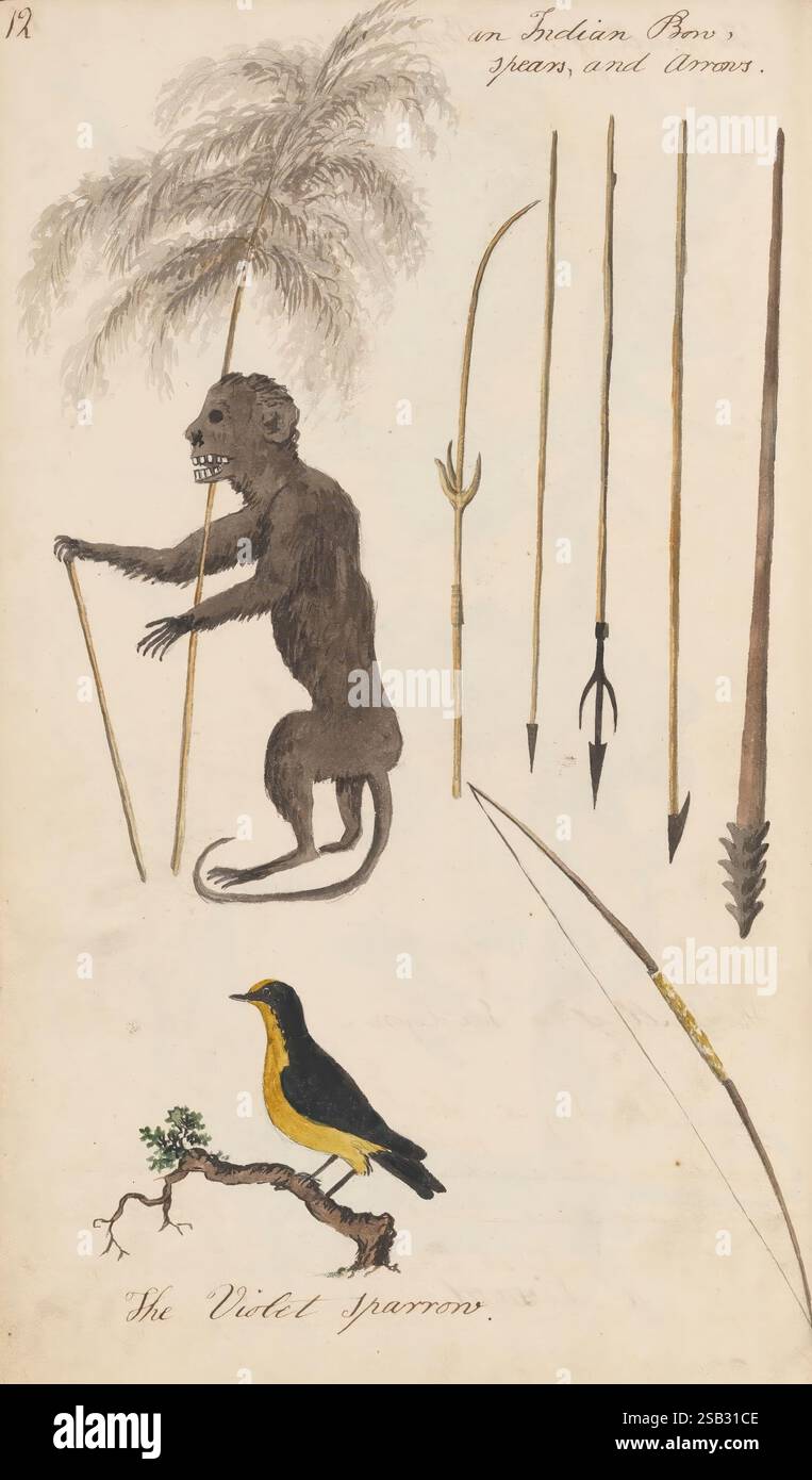 The Naturalist's Companion Containing drawings With suitable ...