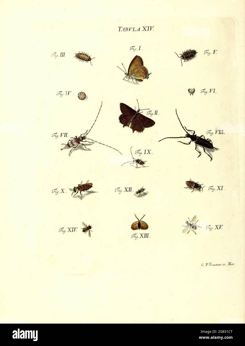 Iacobi Christiani Schaefferi s.s. theologiae et philosophiae doctoris ...