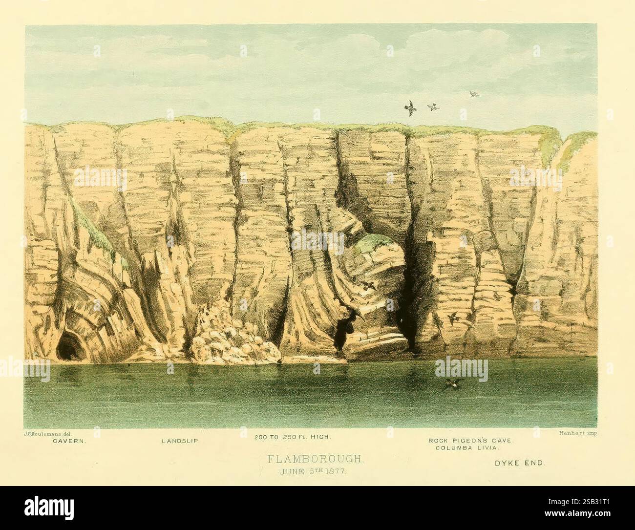 Historical ornithological works hi-res stock photography and images - Alamy