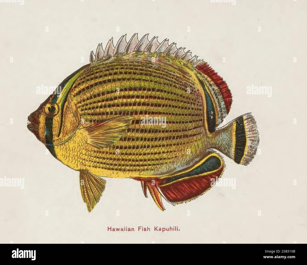 Mori takako hi-res stock photography and images - Alamy