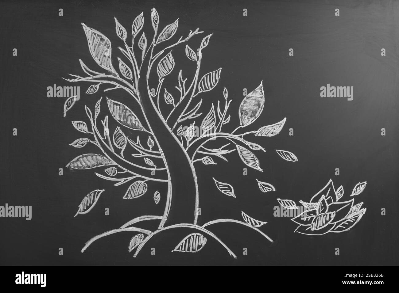 Beautiful drawing of tree on black chalkboard Stock Photo - Alamy