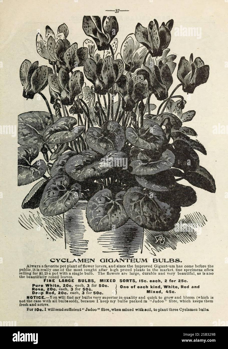 Flowers, Floral Park, N.Y, Miss Mary E. Martin, 1900, flowers, seeds ...