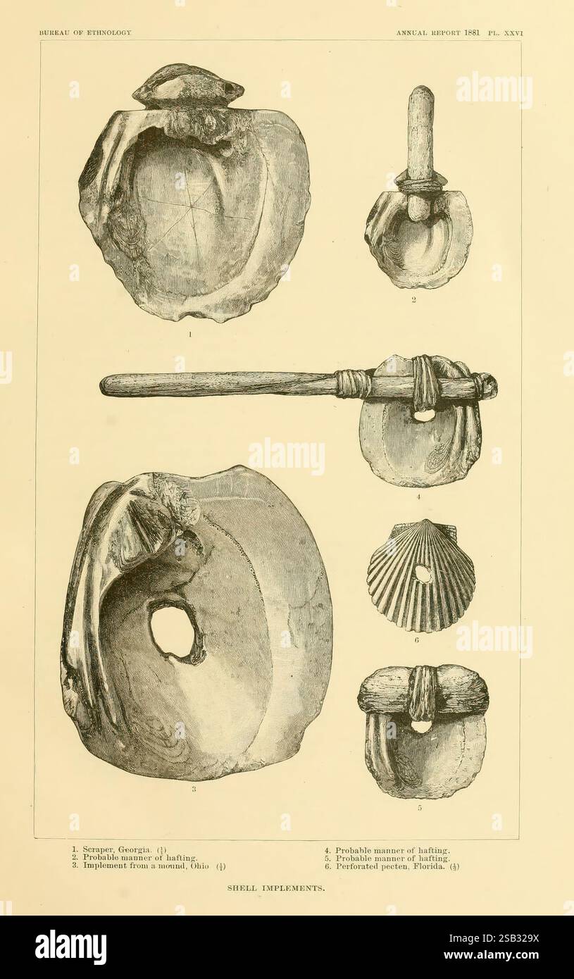 Various shell implements hi-res stock photography and images - Alamy