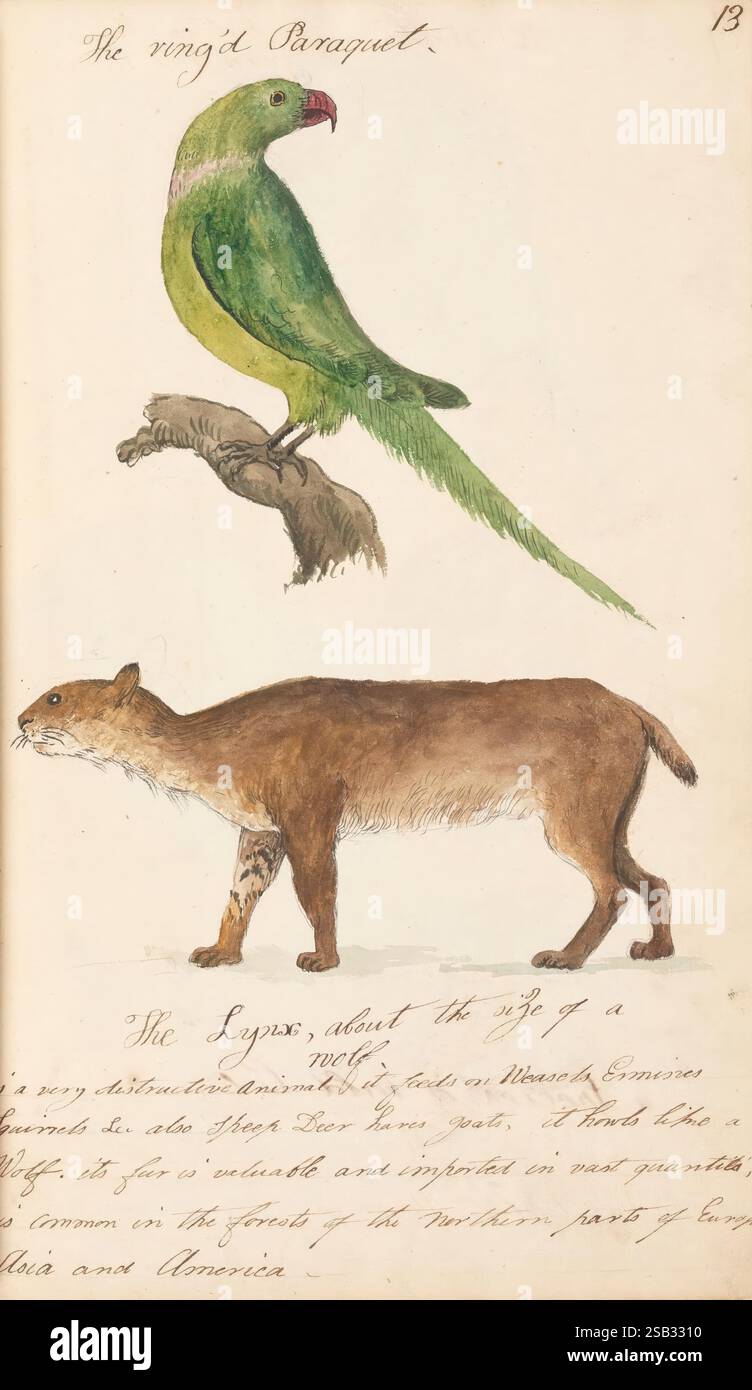 Curved serpents hi-res stock photography and images - Alamy