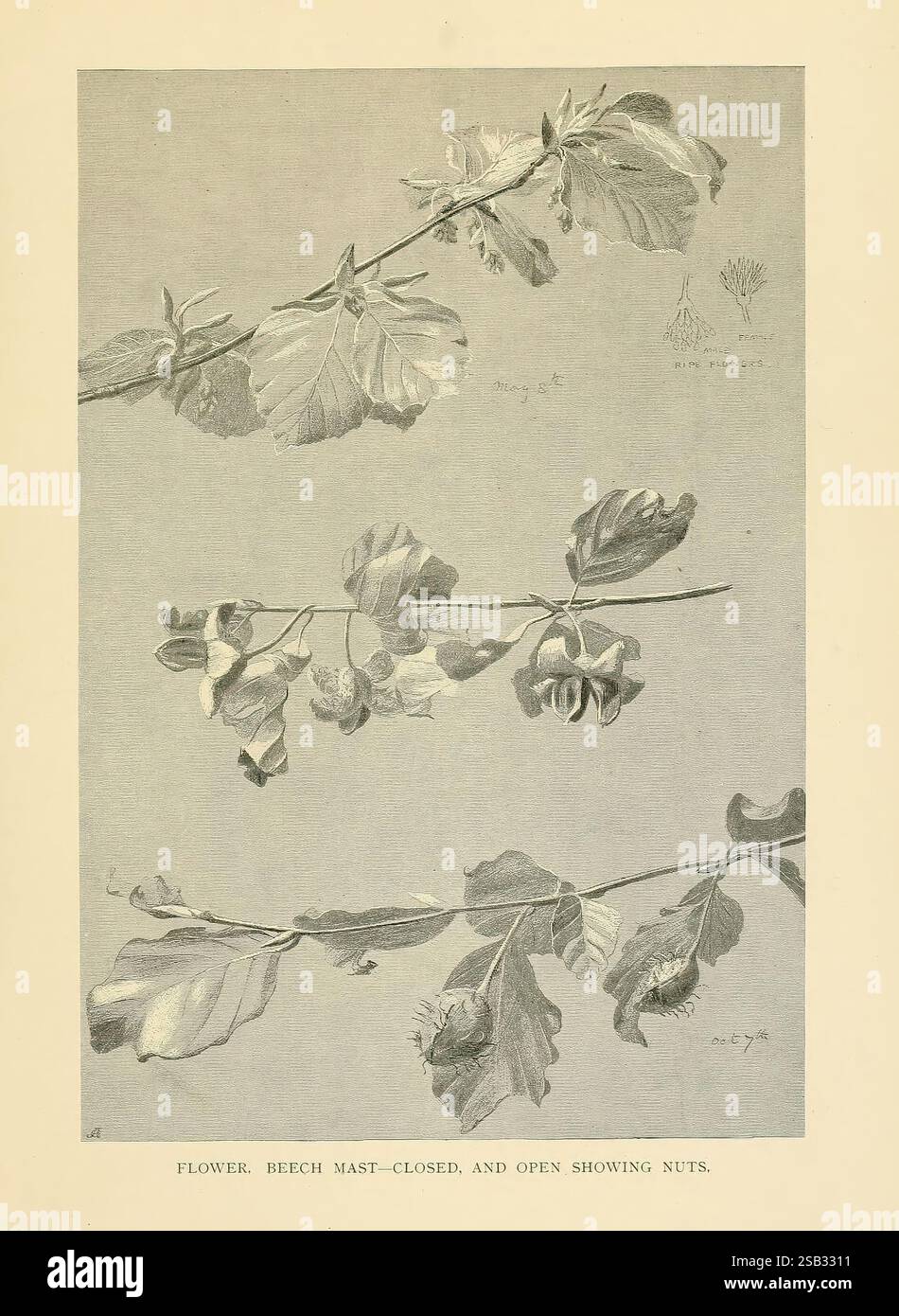 Indicate various stages hi-res stock photography and images - Alamy