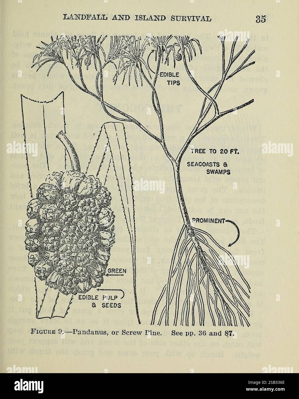 Diagram labels key elements hi-res stock photography and images - Alamy