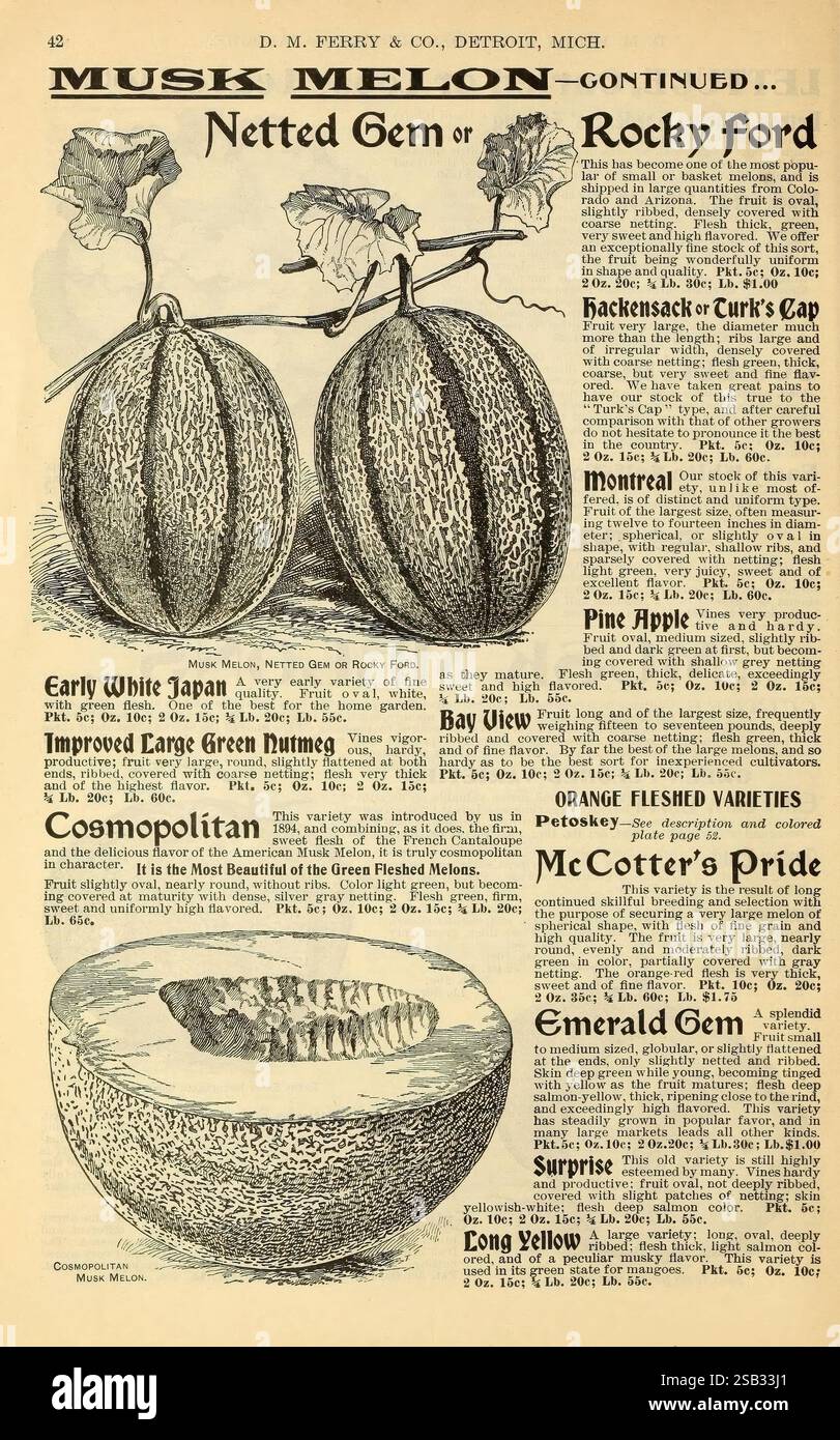 Additional melon variations hi-res stock photography and images - Alamy