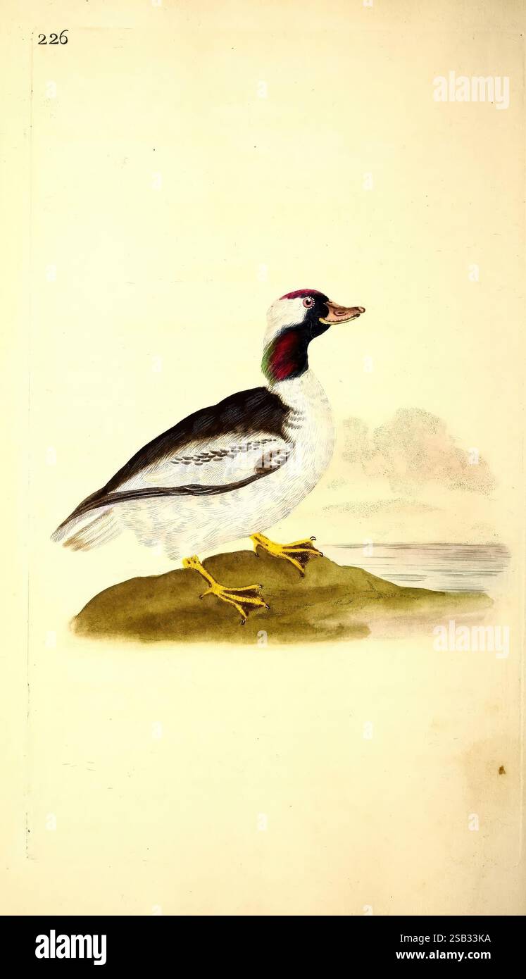 Keen expression highlight hi-res stock photography and images - Alamy