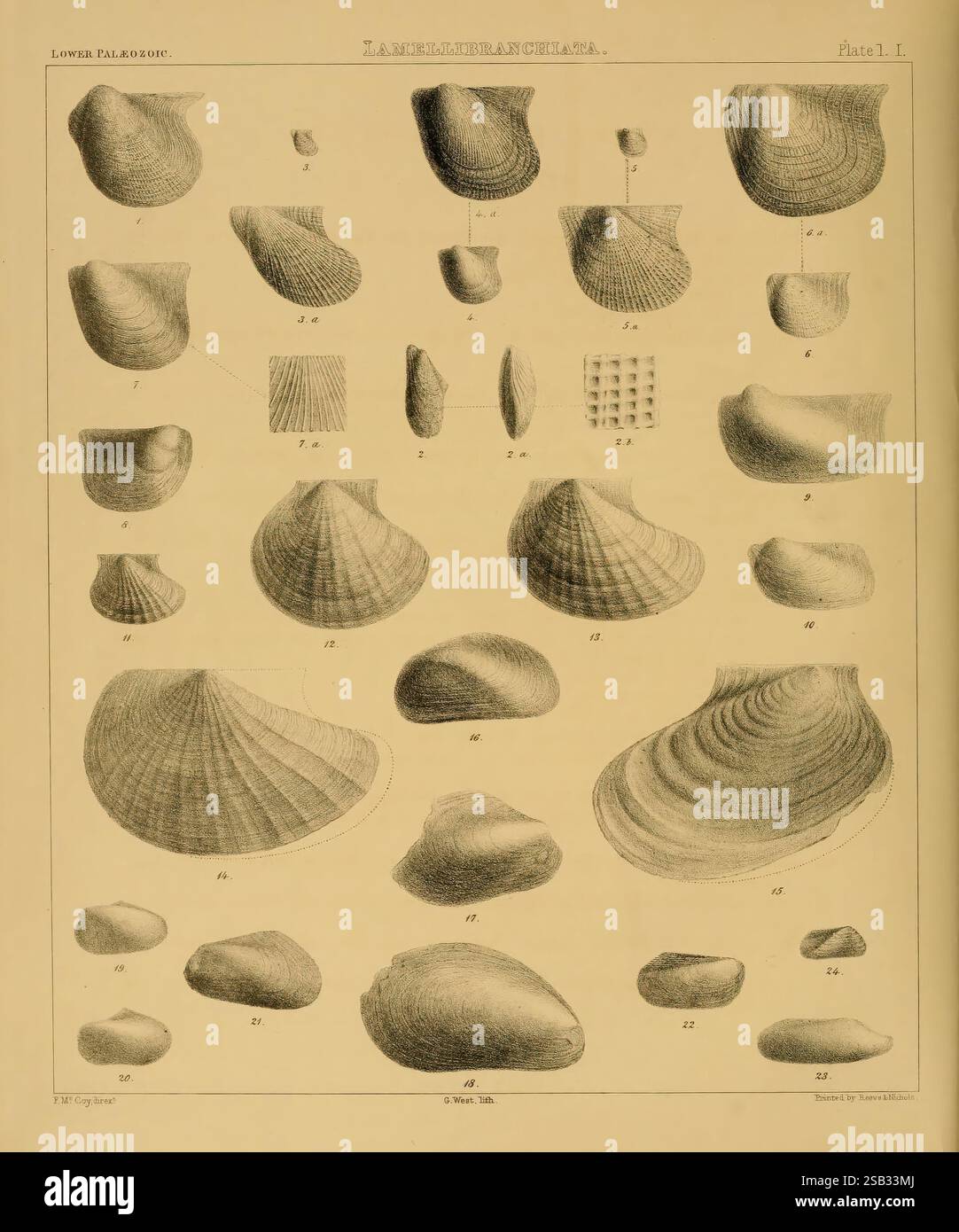 Specific geologic features hi-res stock photography and images - Alamy