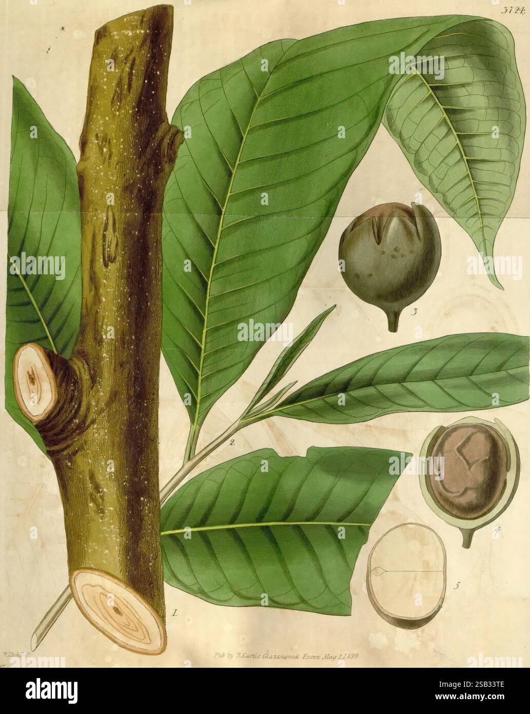 Alongside labeled numbers hi-res stock photography and images - Alamy