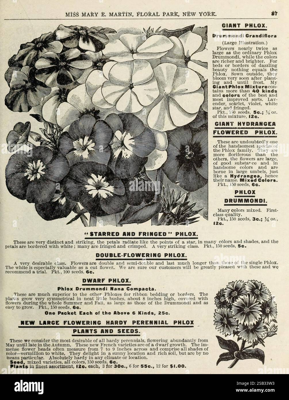 Vintage catalog entry hi-res stock photography and images - Alamy