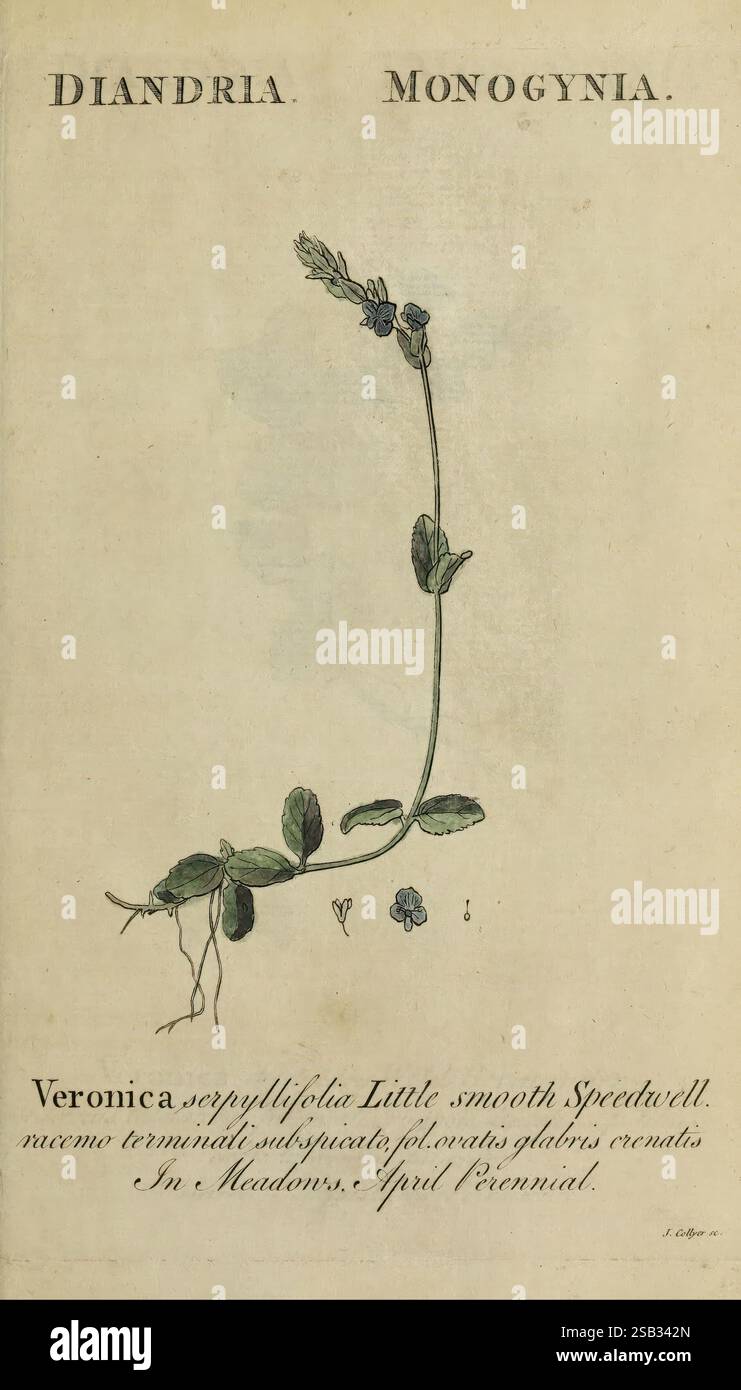 Label beneath names hi-res stock photography and images - Alamy