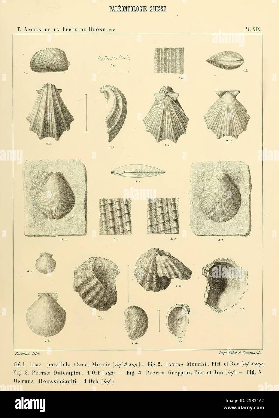 Lima parallela hi-res stock photography and images - Alamy