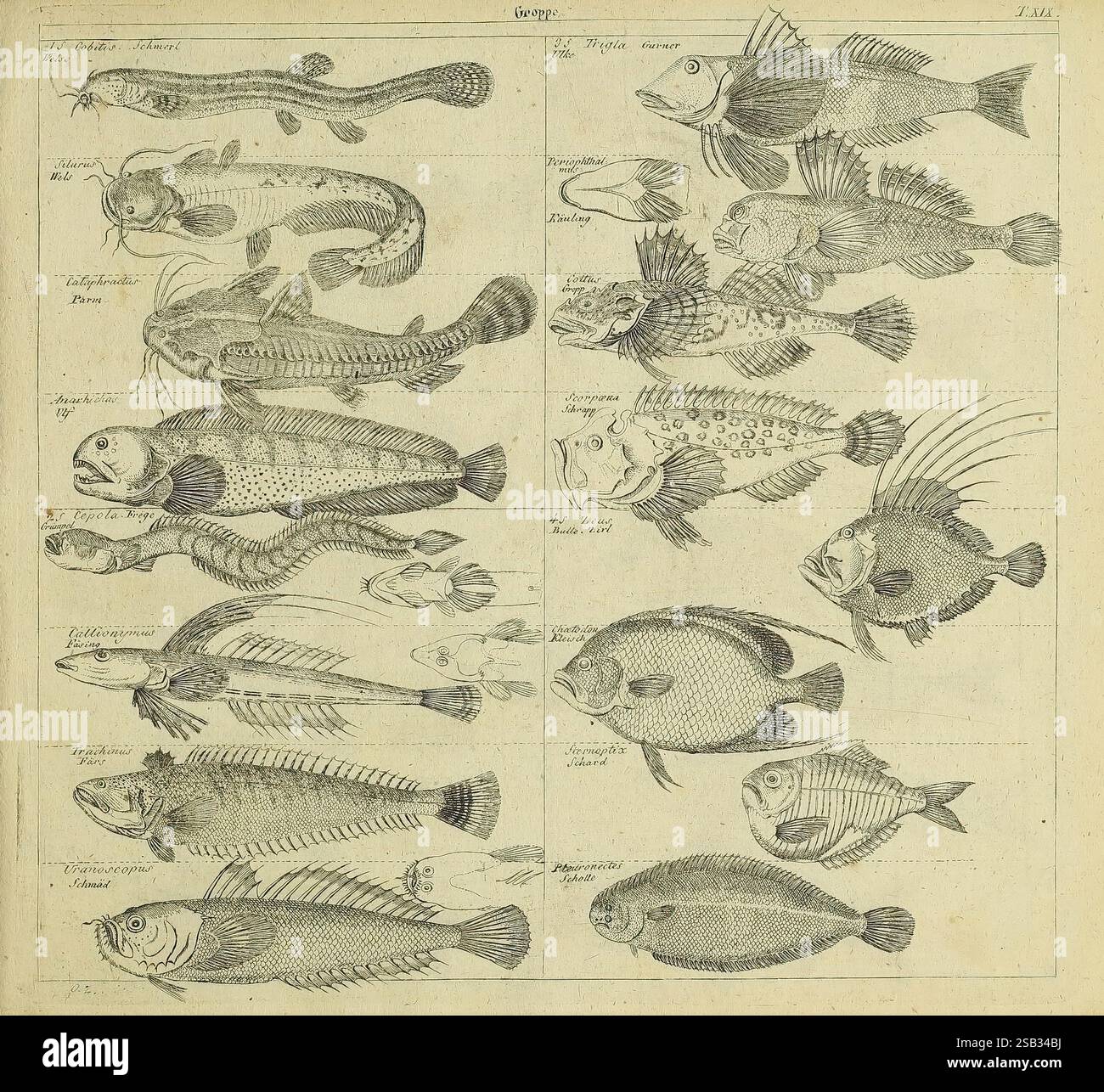 Presentation shifts hi-res stock photography and images - Alamy