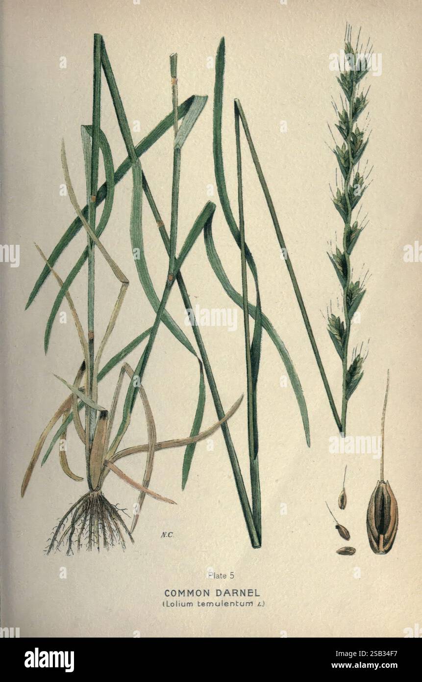 Showcases detailed aspects hi-res stock photography and images - Alamy