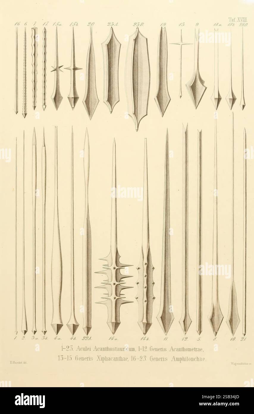 Ancient weapon forms hi-res stock photography and images - Alamy