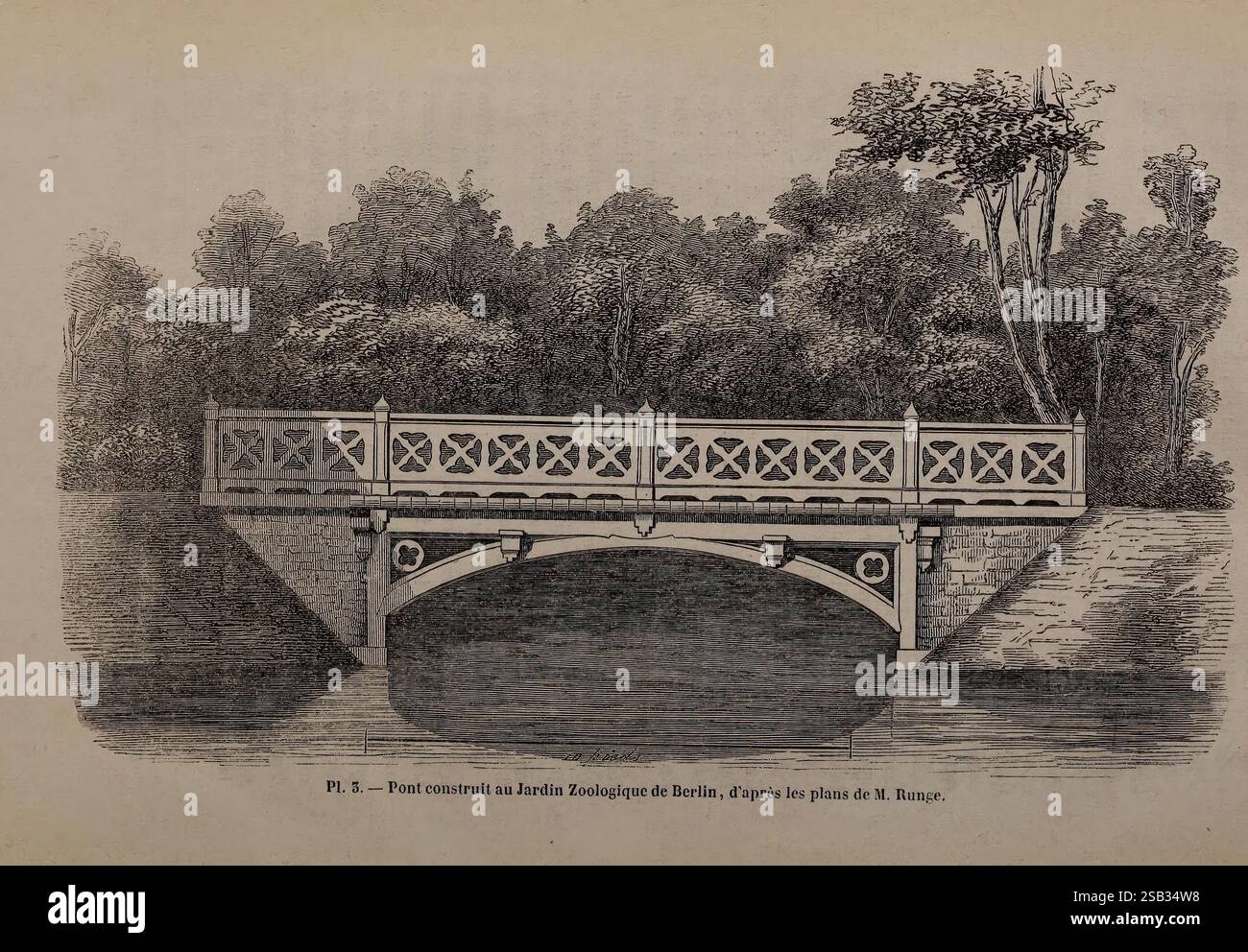 Serene scene depicts two elegantly hi-res stock photography and images ...