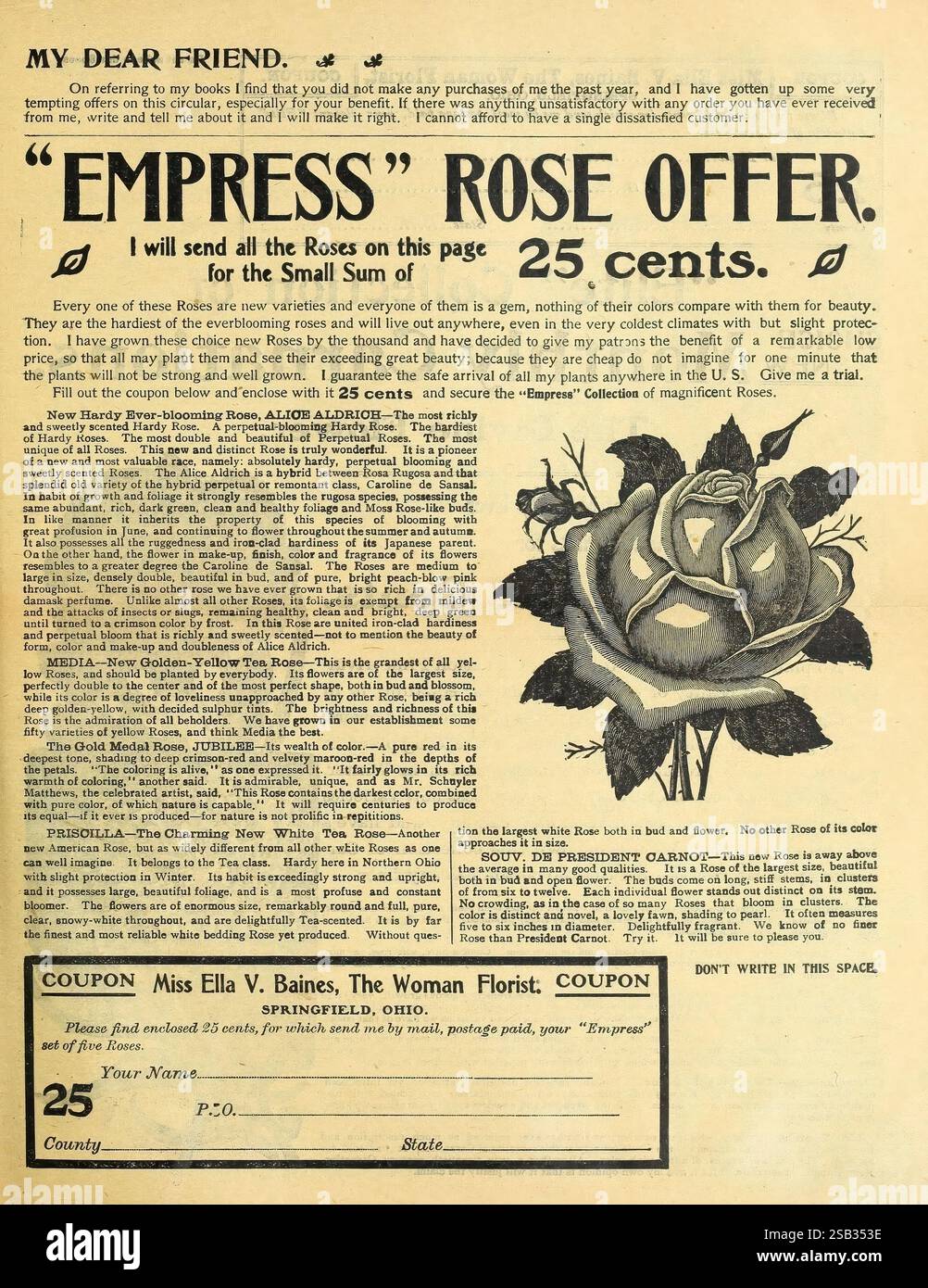 Assuring customers hi-res stock photography and images - Alamy