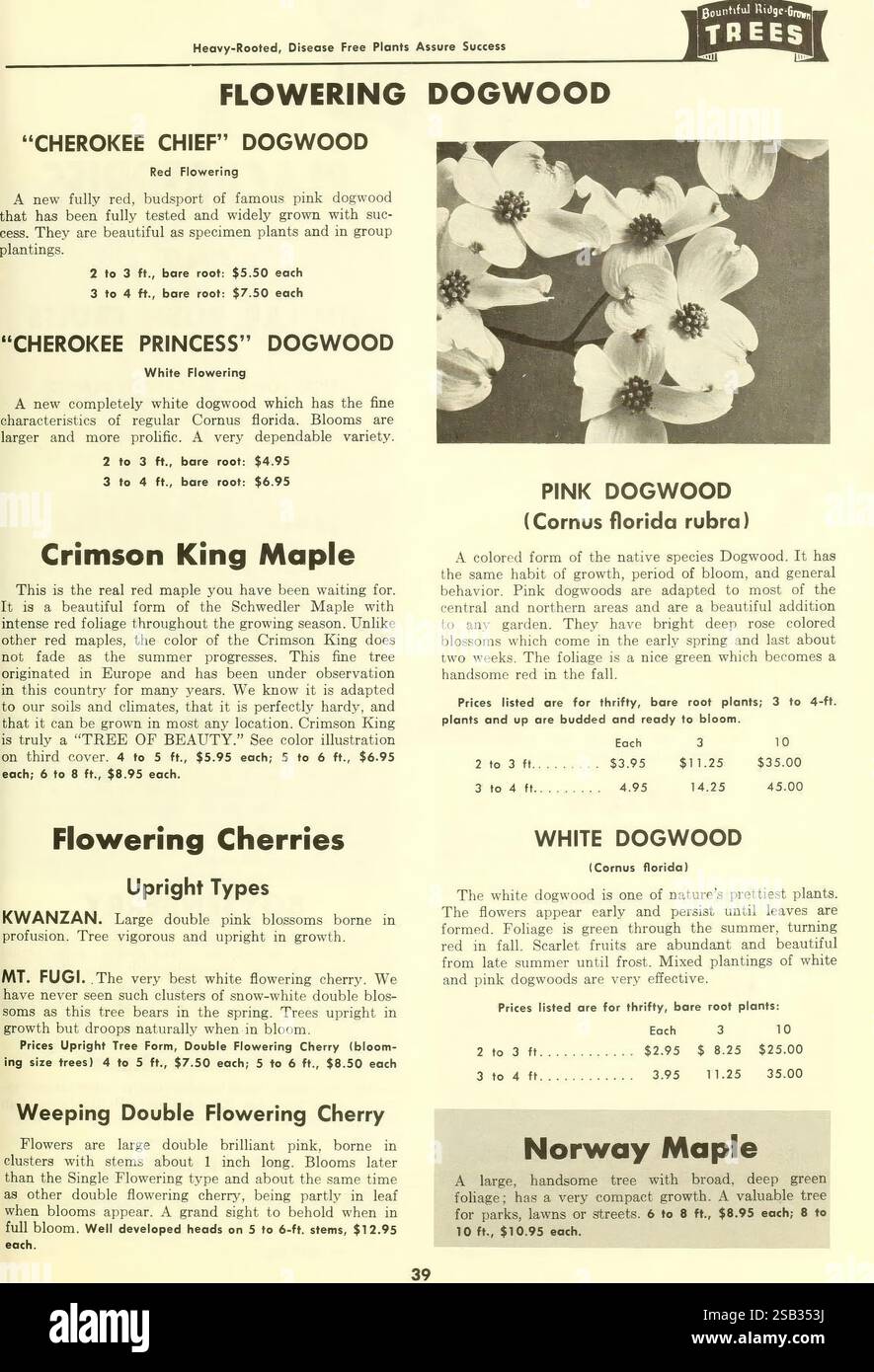 Planting guide, Princess Anne, Md, Bountiful Ridge Nurseries, 1967 ...