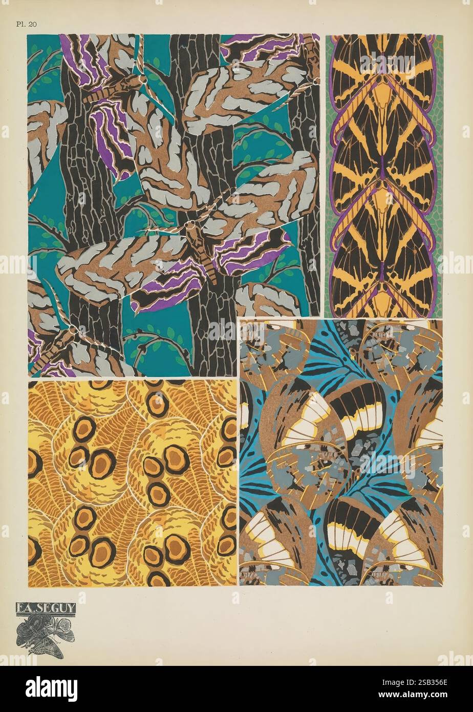 Papillons, Paris, Tolmer [ca. 1925], animal forms, butterflies ...
