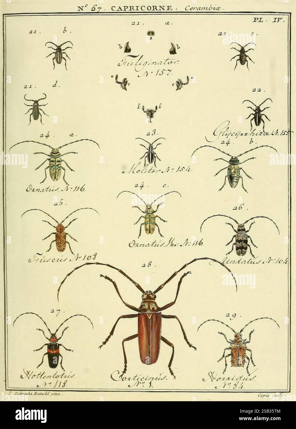 Entomologie, ou, Histoire naturelle des insectes, A Paris, De l ...