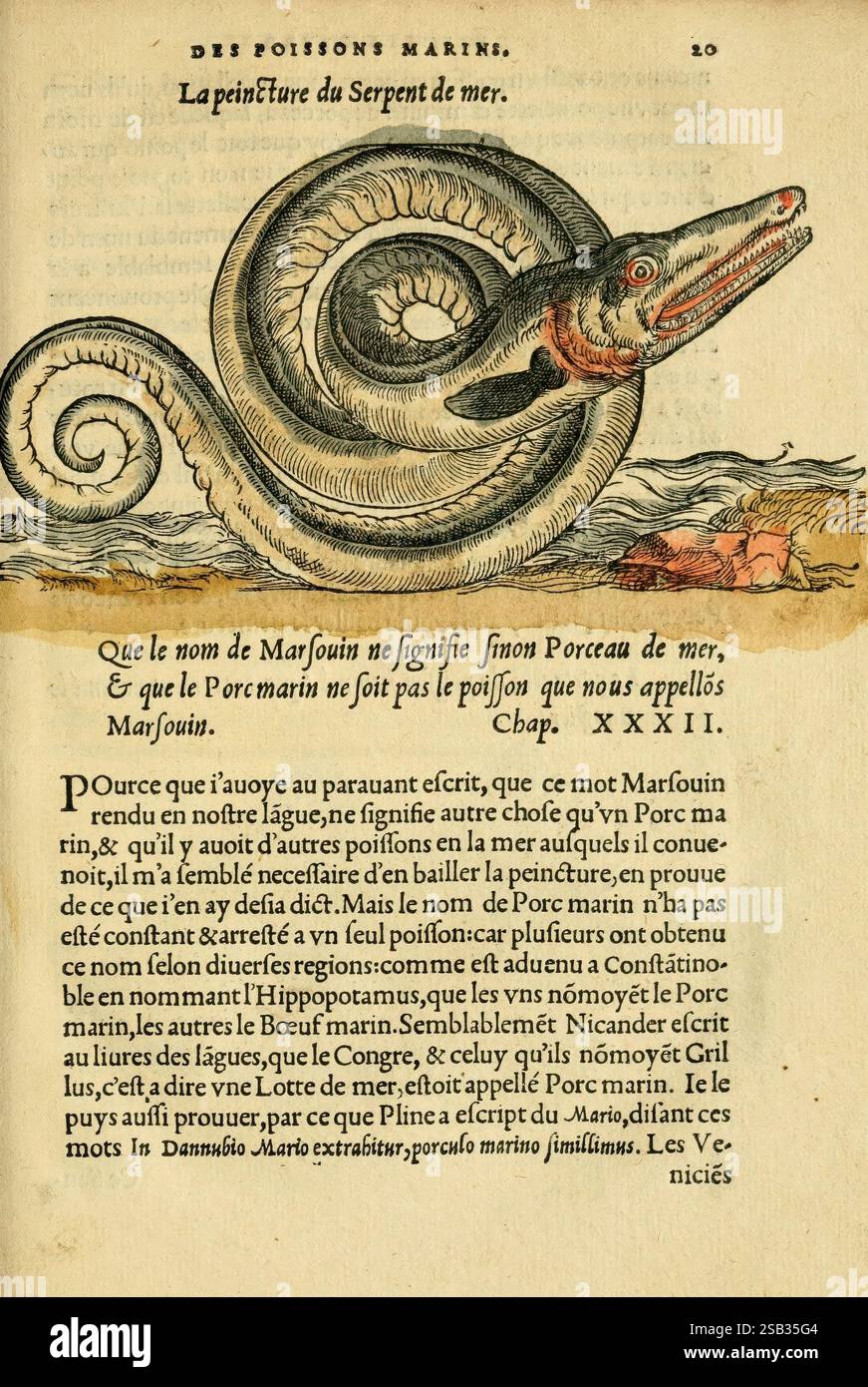 Sinuous manner hi-res stock photography and images - Alamy