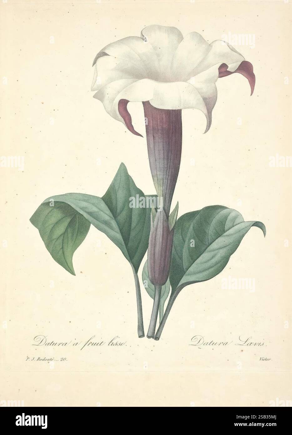 Striking tubular form hi-res stock photography and images - Alamy